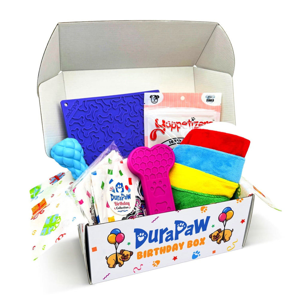 DuraPaw Dog Birthday Gift Box Present
