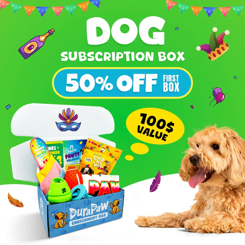 DuraPaw Box - Premium Monthly Dog Subscription Box in Canada