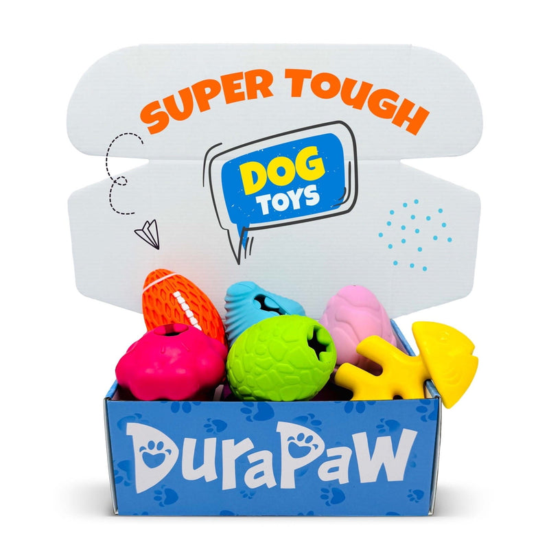Surprise Box of Super Tough Dog Toys for Aggressive Chewers