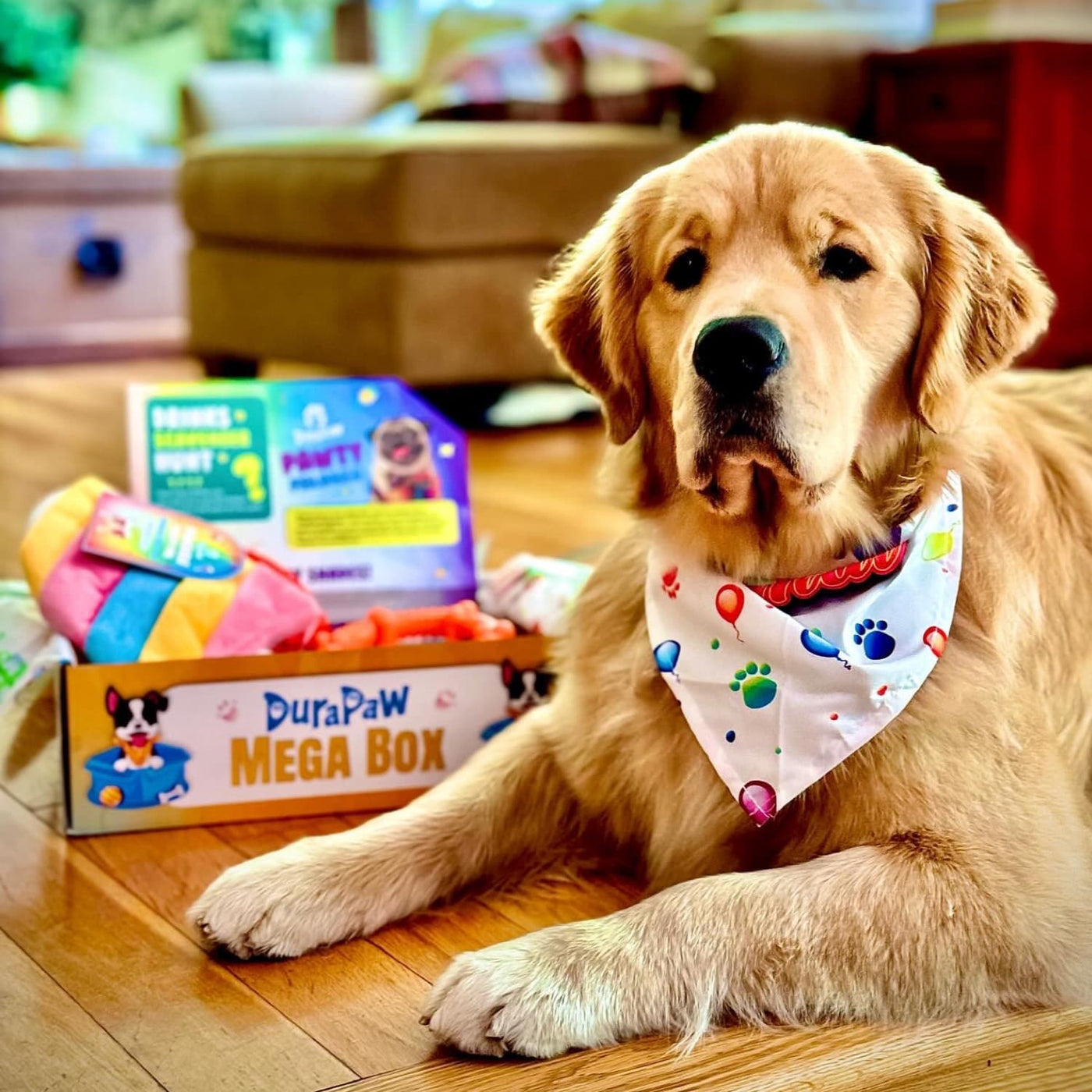 12 Month Plan - Multi Dog Subscription Box for Multiple Dogs