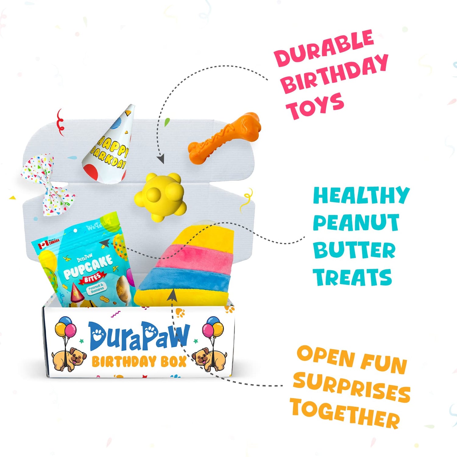 DuraPaw Dog Birthday Gift Box Present