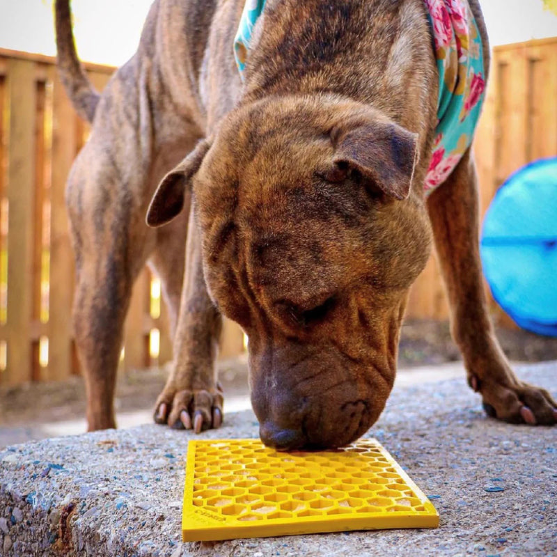 20 Best Homemade Dog Lick Mat Recipe Ideas