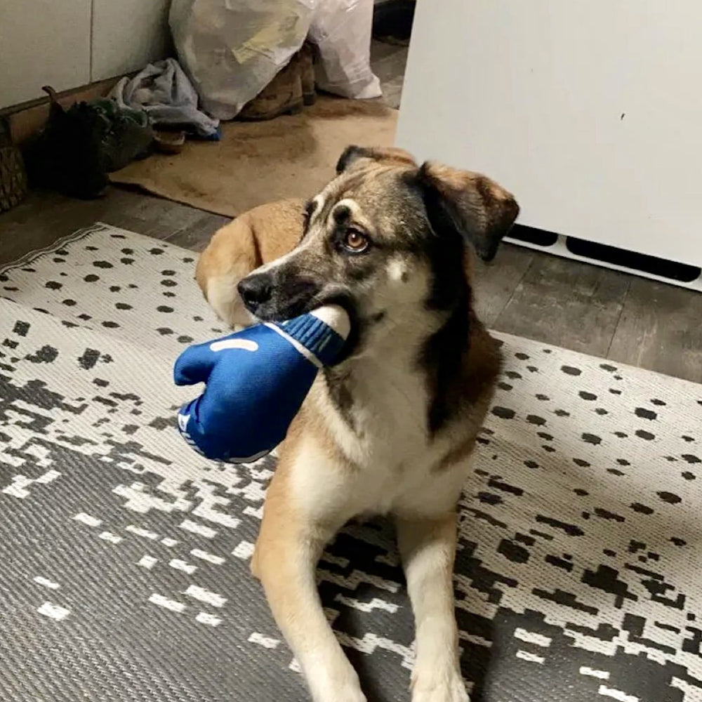 DuraPaw - Boxing Glove Plush Dog Toy | Designed In Canada
